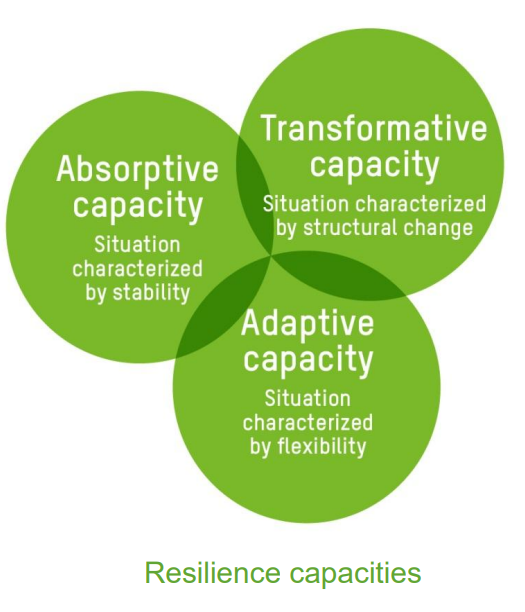 Climate and disaster resilience glossary - Climate Justice & Resilience ...